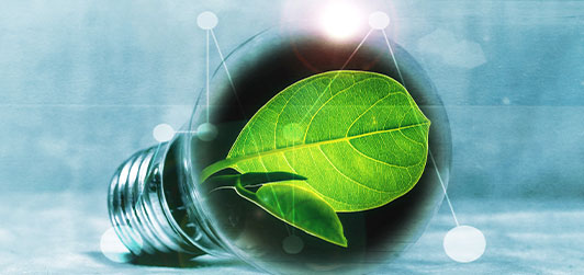 L'innovation durable - OliKrom, leader en matériaux intelligents